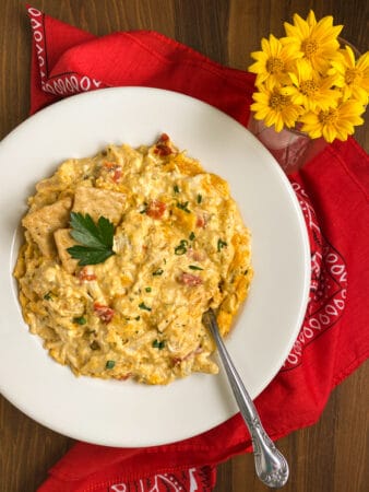 Spicy Cajun Chicken Dip - A Sprinkling of Cayenne