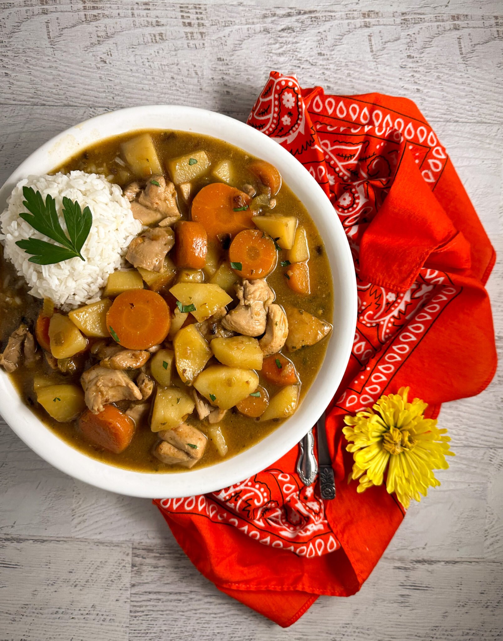 Cajun Chicken Stew - A Sprinkling of Cayenne